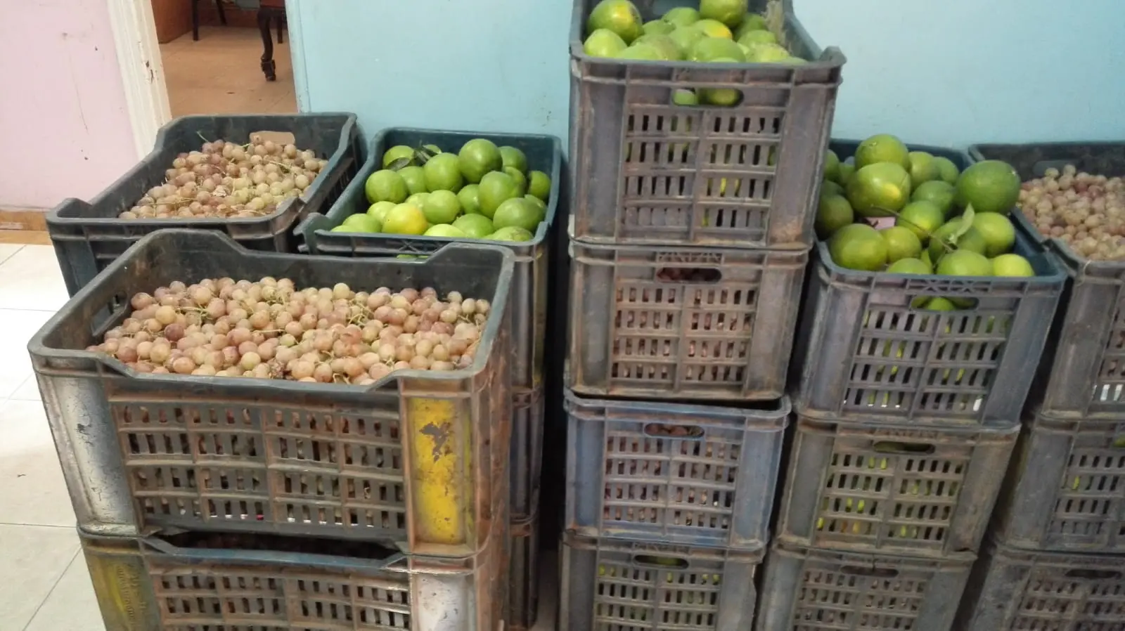 EMAM FRUIT PROJECT: A Heroic Journey of Nourishment and Hope